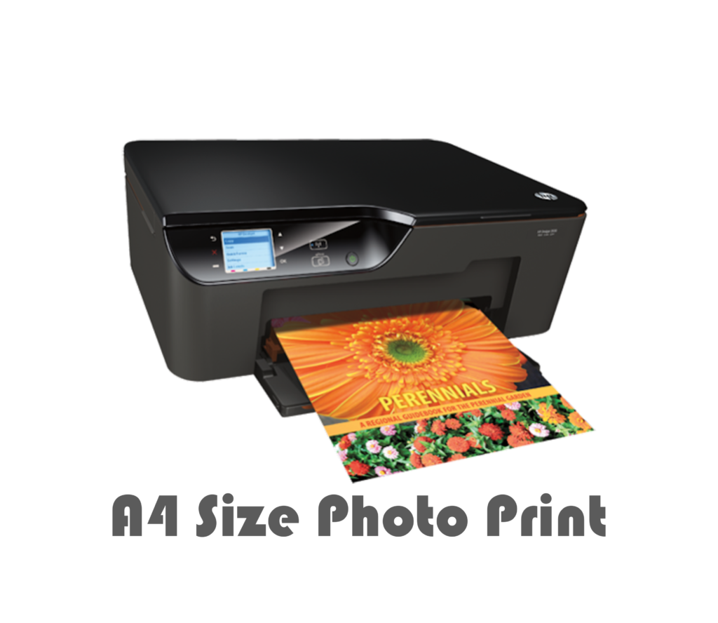 Photo Print A4 Size – BabaGroup.Pk